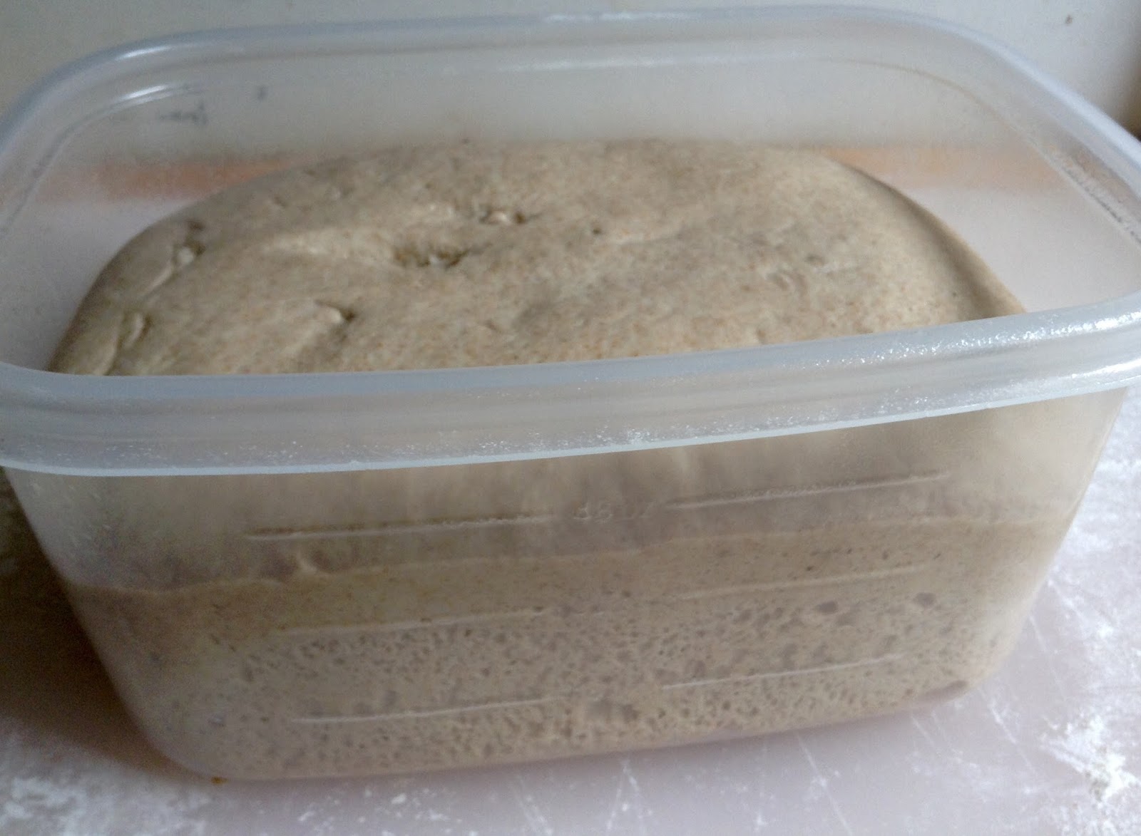 KARIN’S FEINBROT – GERMAN EVERYDAY BREAD (Updated) – Brot & Bread