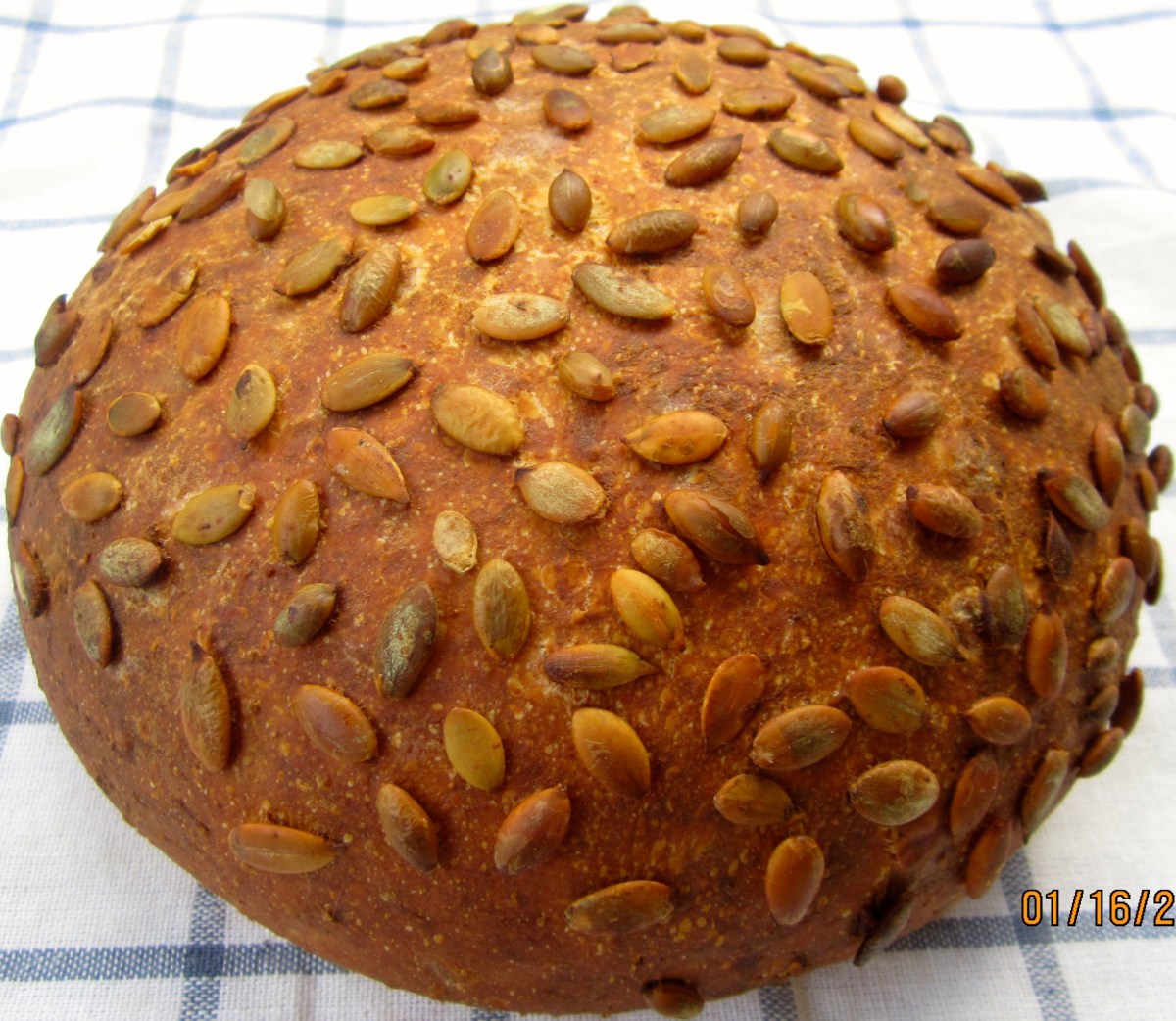 SENFBROT – MUSTARD CHEESE BREAD – Brot & Bread