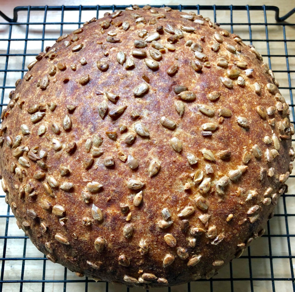 SENFBROT – MUSTARD CHEESE BREAD – Brot & Bread