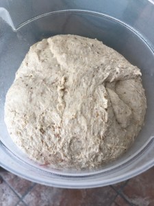 SENFBROT – MUSTARD CHEESE BREAD – Brot & Bread